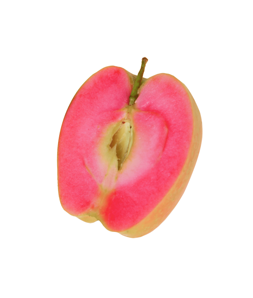 Hidden Rose Apple | Specialty Fruits | Dragonberry Produce