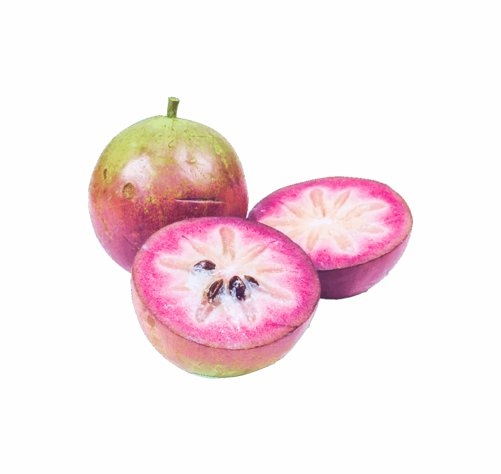 Star Apple | Exotic Unique Fruits | Dragonberry Produce